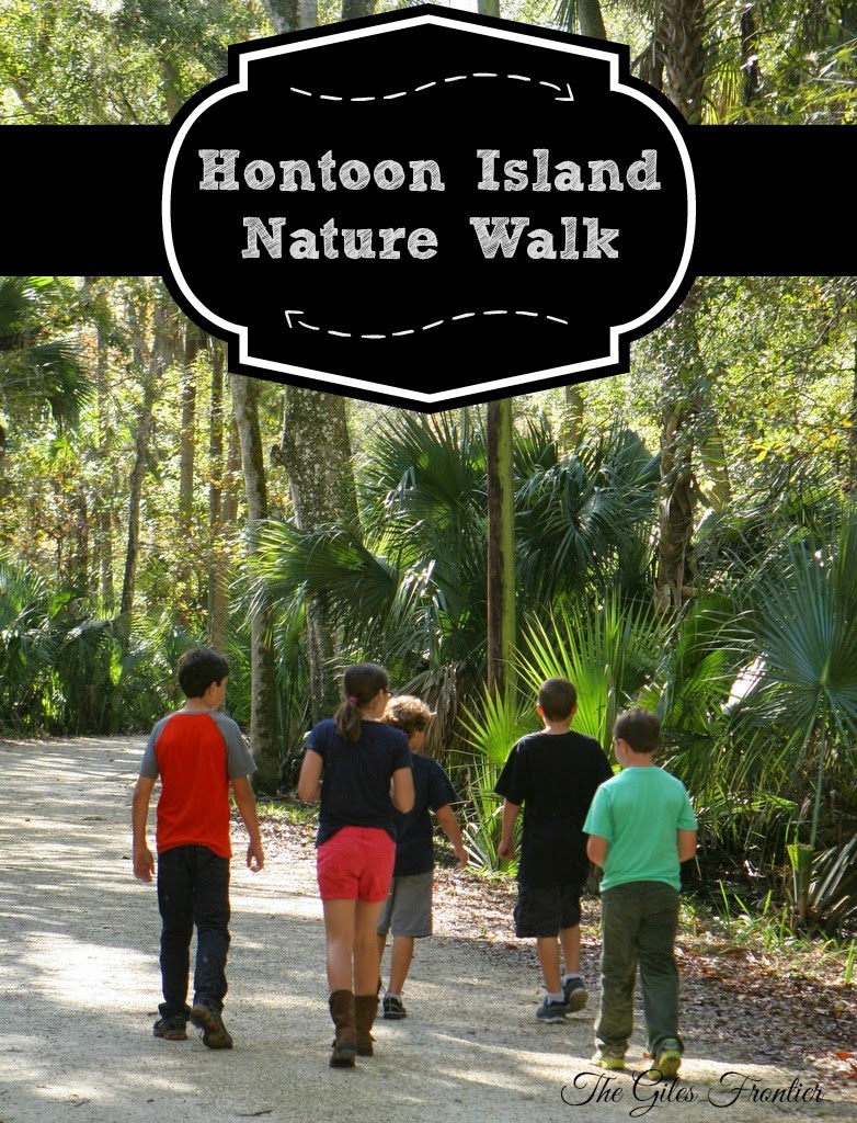 Discover Hontoon Island, A Nature Walk - The Giles Frontier
