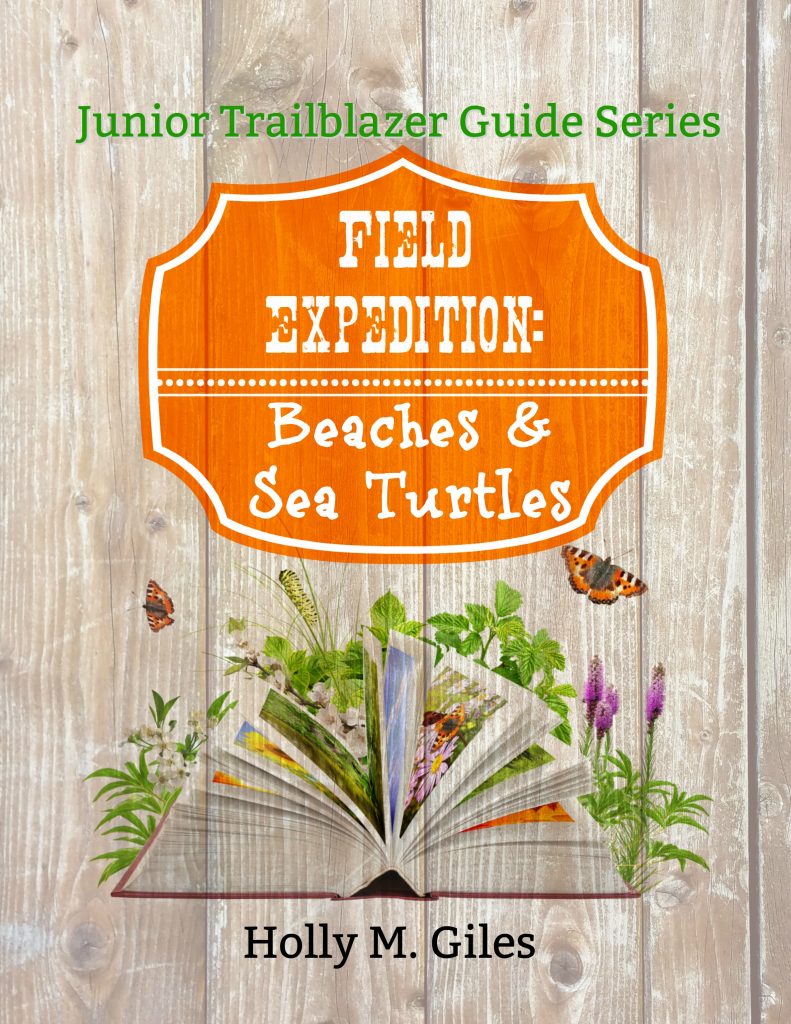 Sea Turtles Science curriculum Mini Unit - The Giles Frontier